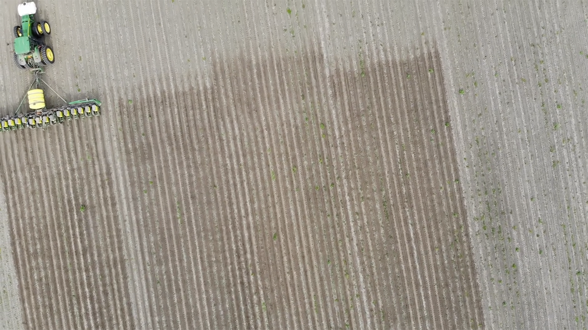 Why Modern Farmers Focus More on Planting Consistency Than Speed
